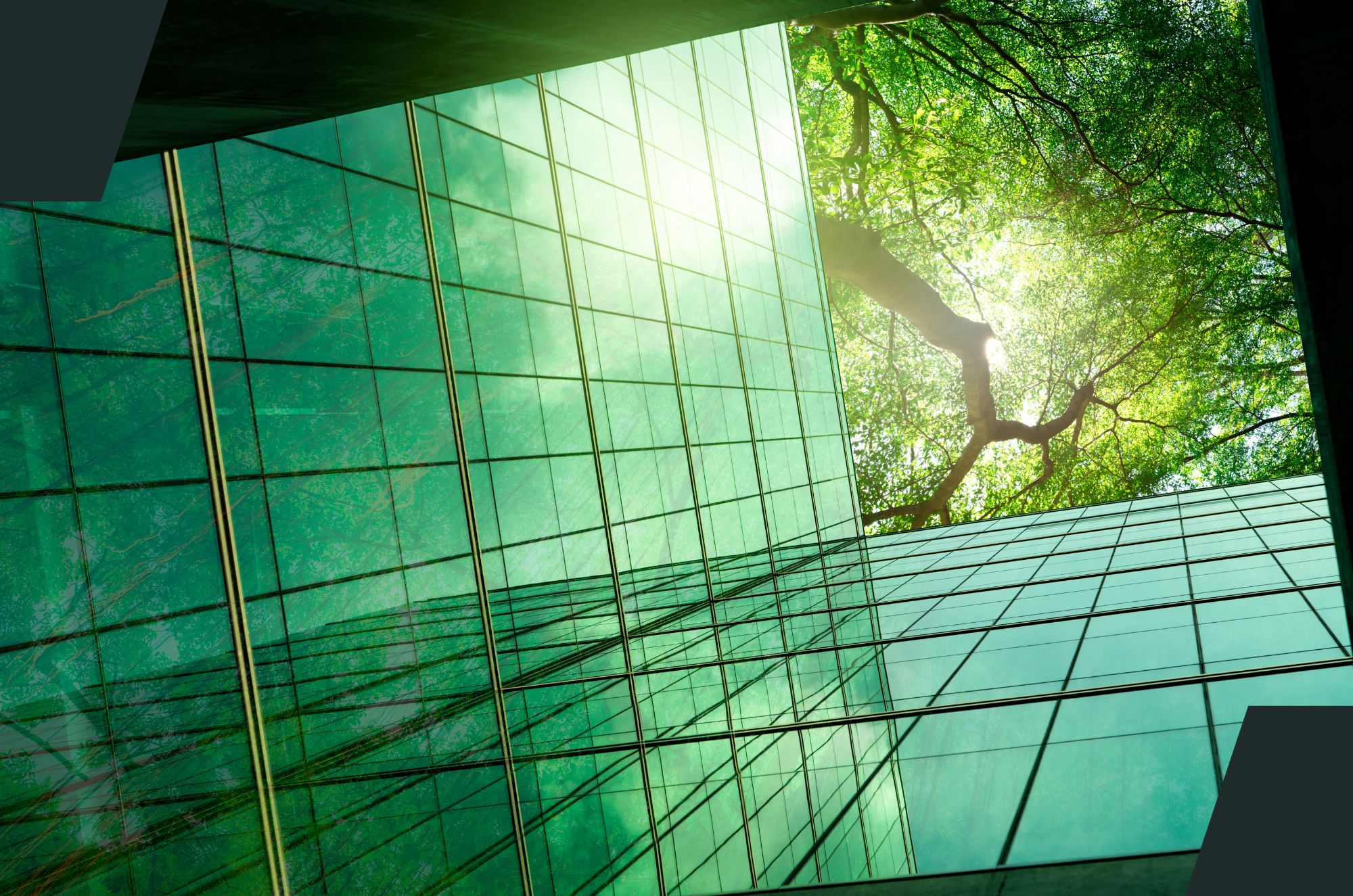 Carbon Reduction Plan | Computer Packages Inc. - Computer Packages Inc